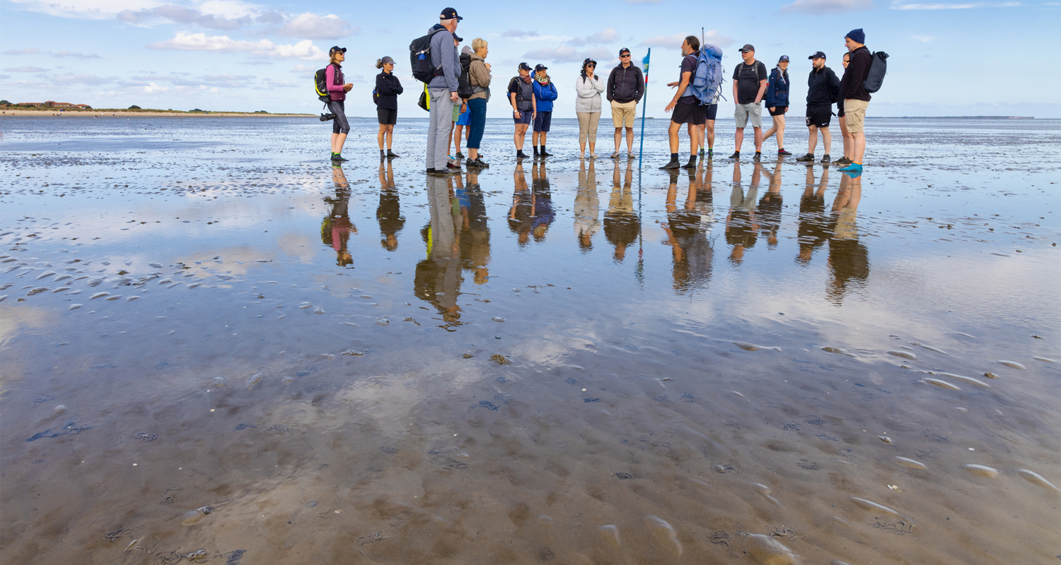 Oris unterstützt das CWSS beim Schutz des Wattenmeeres